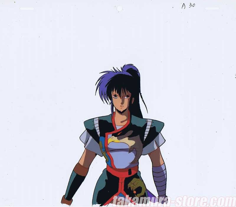 Wrath Of The Ninja Yotoden